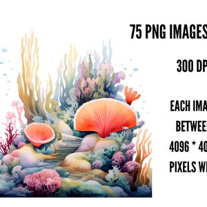 Tidepools Watercolor Clipart Bundle | Coastal and Nautical Graphics ...