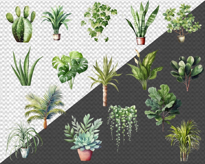 Indoor Plants Clipart-watercolor Houseplants Botanical House - Etsy