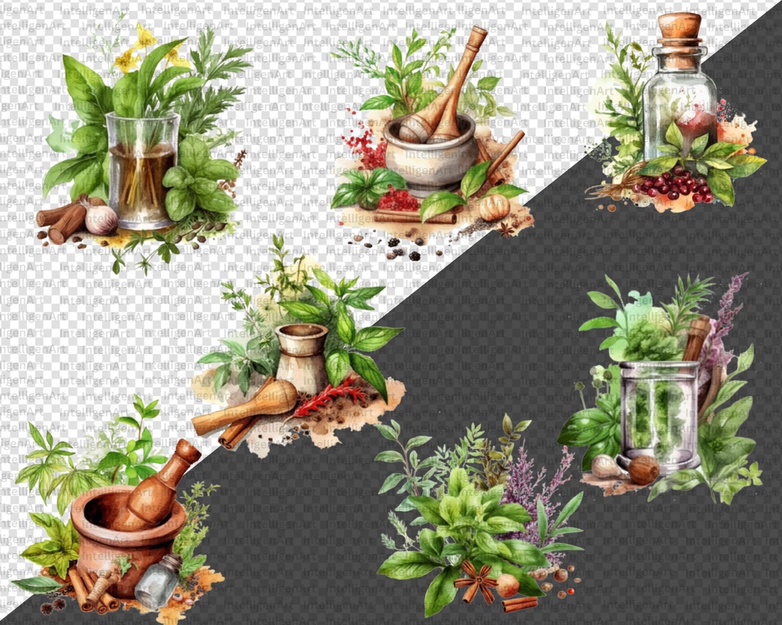 Herbs & Spices Clipart Watercolor Herbs Cooking Seasoning - Etsy