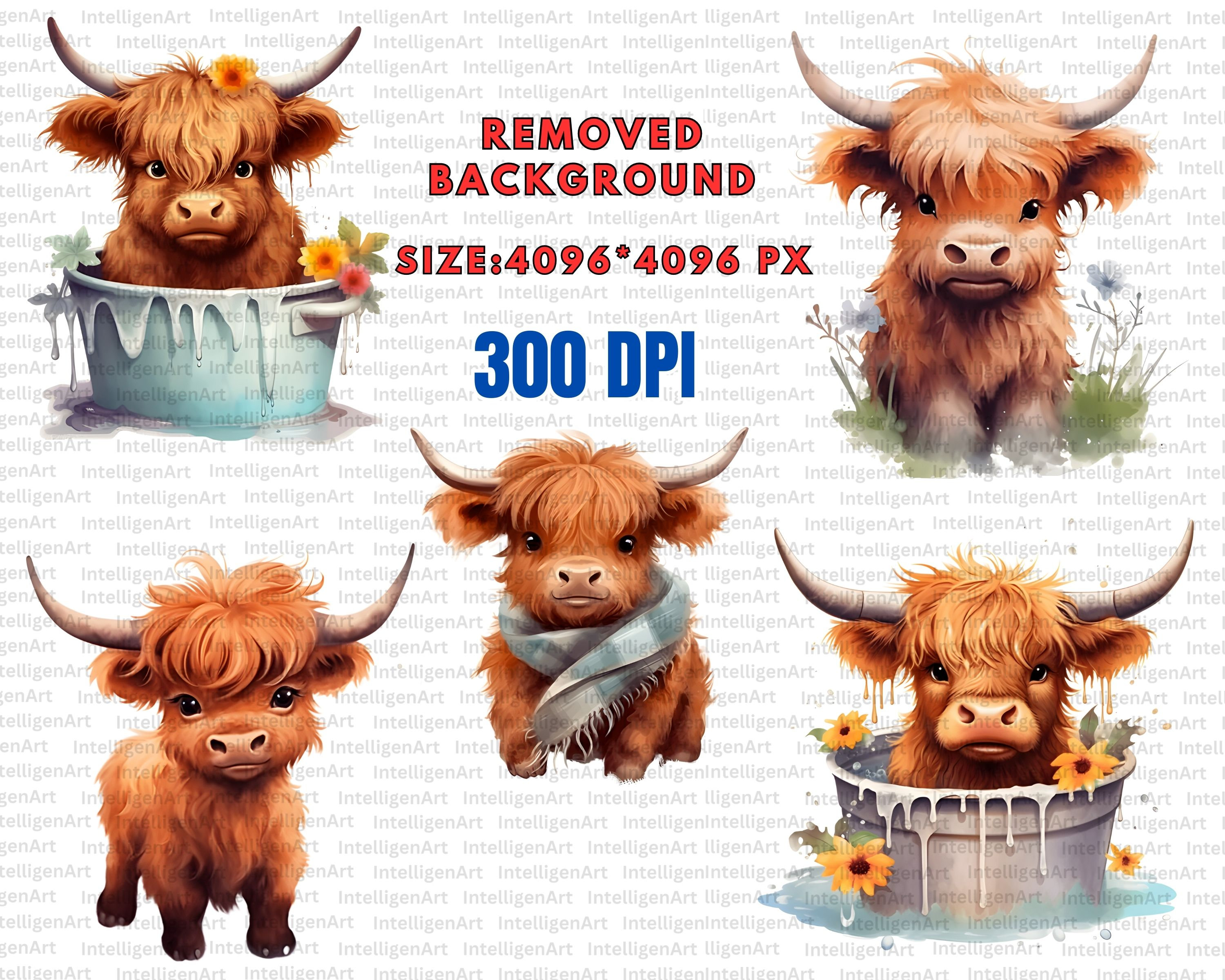 Baby Highland Cow Clipart Baby Animals Clipart Cow Wall Art - Etsy ...