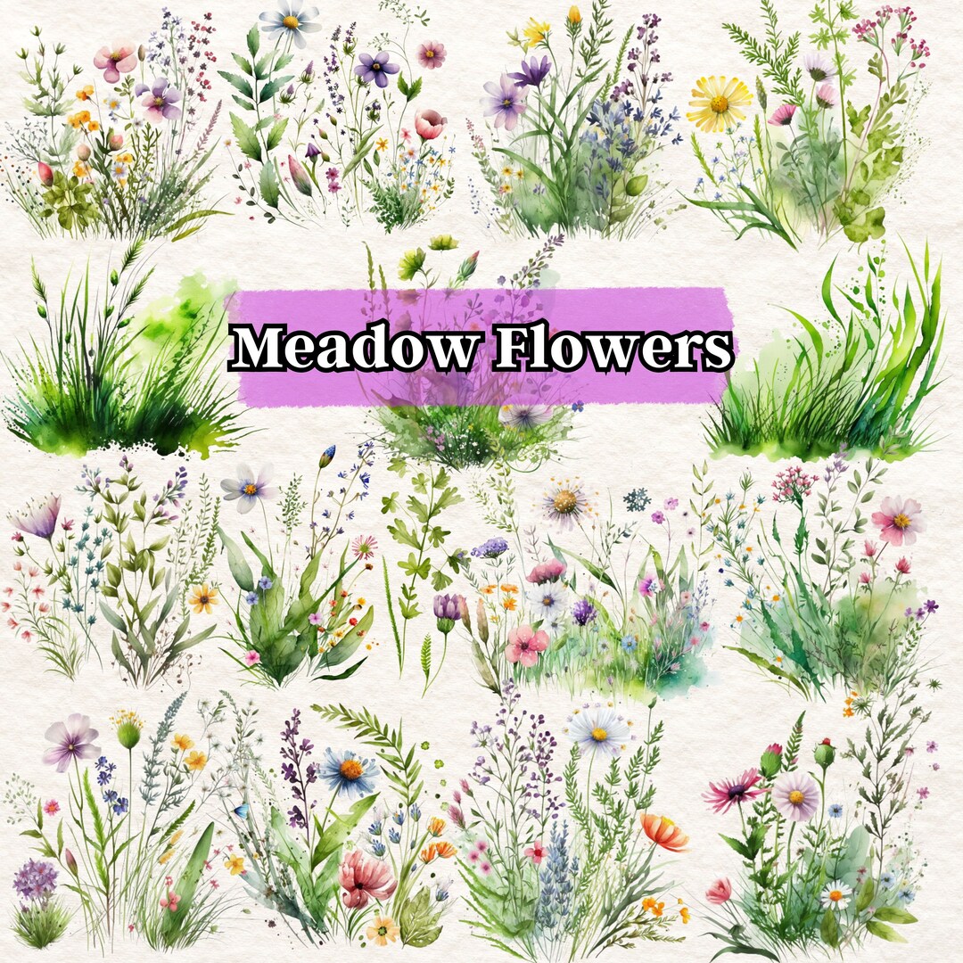Watercolor Meadow Clipart-spring Wildflowers, Floral Arrangements ...