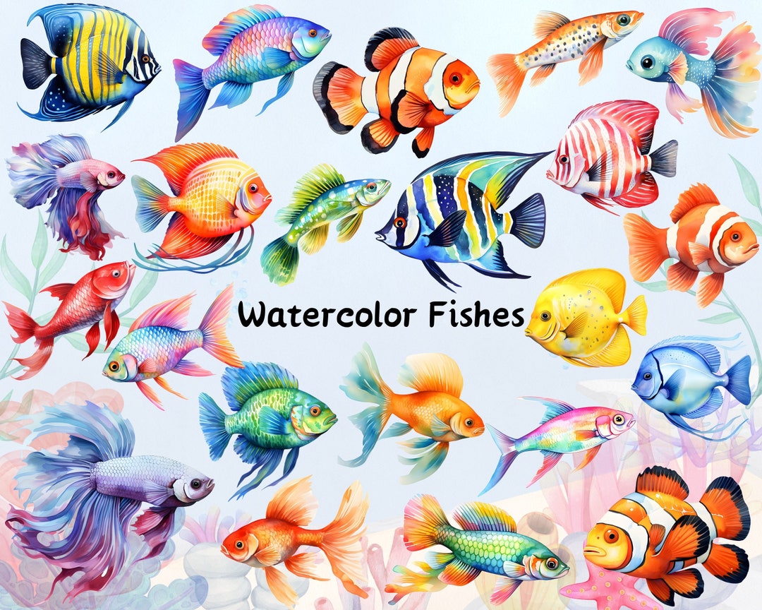Watercolor Fish Clipart, Cute Ocean Animals PNG, Undersea Illustrations ...