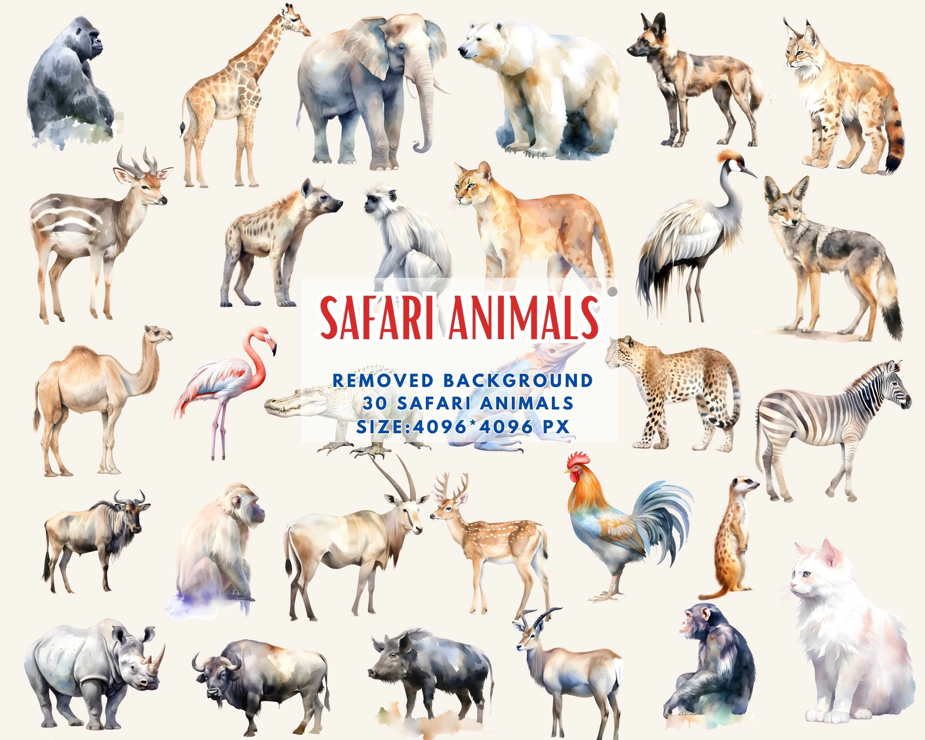 Safari Animals Clipart PNG Watercolor Safari Clip Art Decal - Etsy