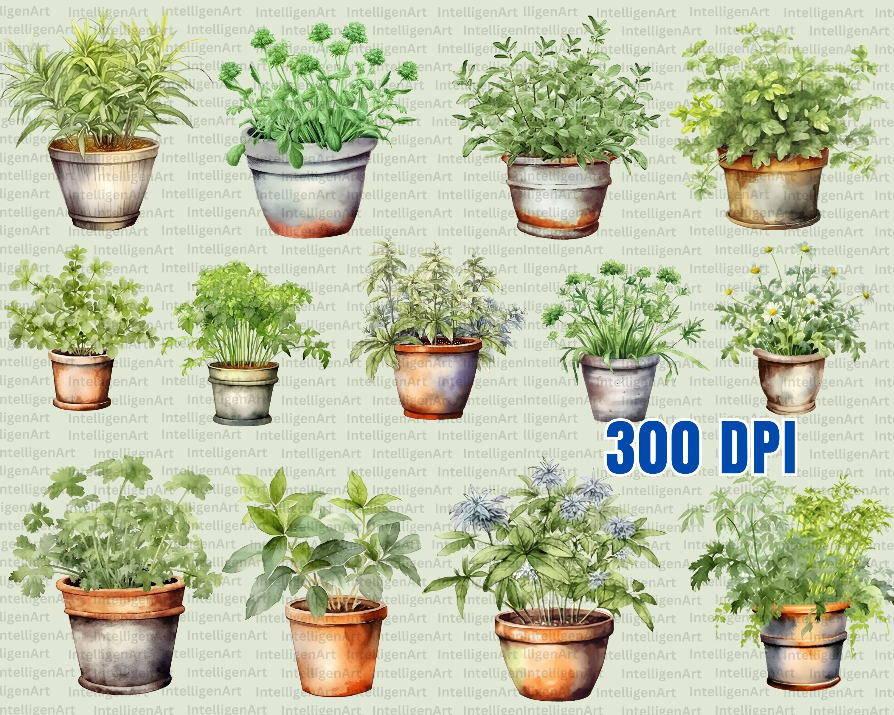 Watercolor Herbs Plants Clipart Fresh Herbs Clip Art Herb - Etsy