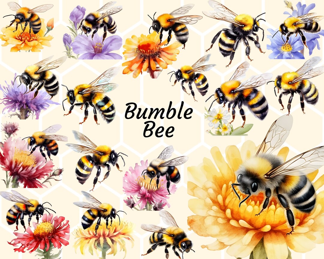 Bumble Bee Clipart, Honey Bee Clipart, Spring Garden Bee Graphics ...