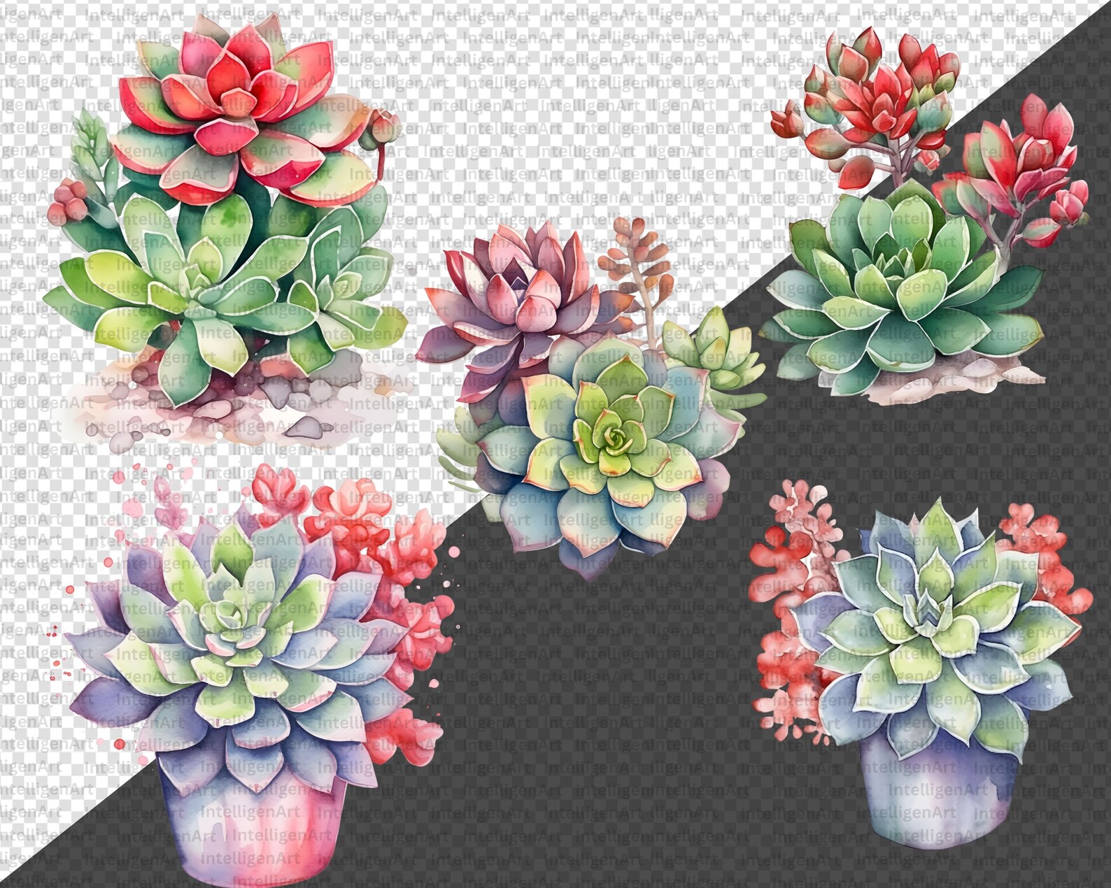 Watercolor Succulent Clipart PNG Succulent Graphics Plants - Etsy