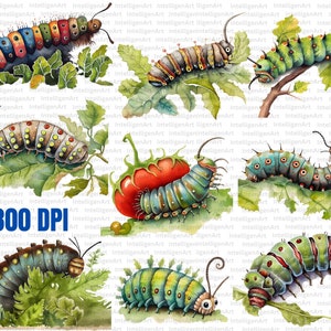 Caterpillar Clipart, Watercolor Spring Bug Insect, Cute Caterpillar ...