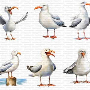 Funny Seagull Clipart, Quirky Birds Clip Art, Silly Animal ...