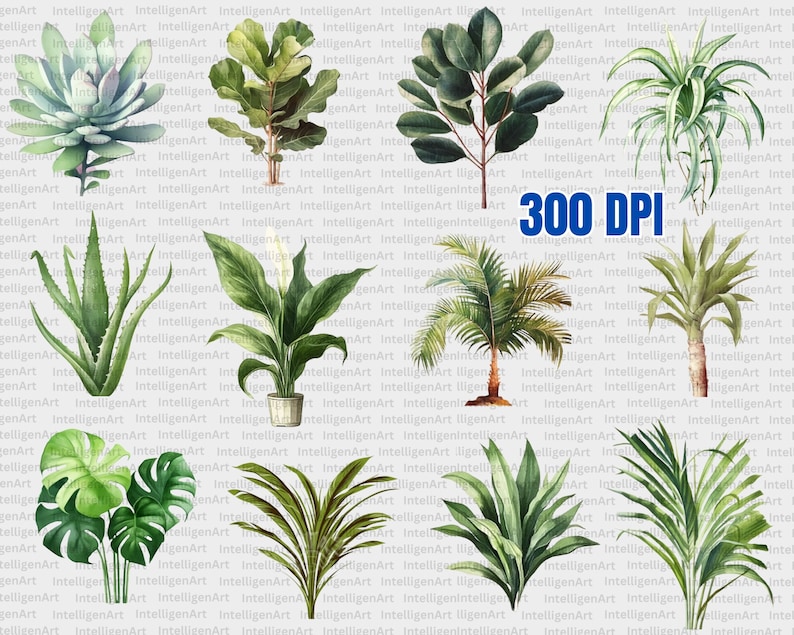 Indoor Plants Clipart-watercolor Houseplants Botanical House - Etsy