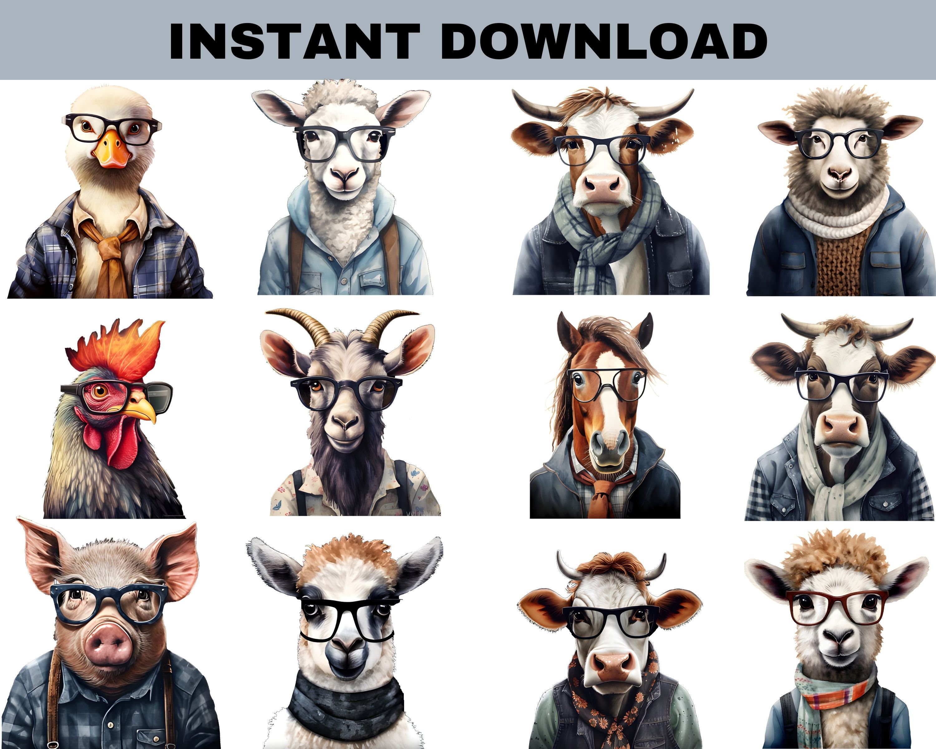 Hipster Animal Drawings