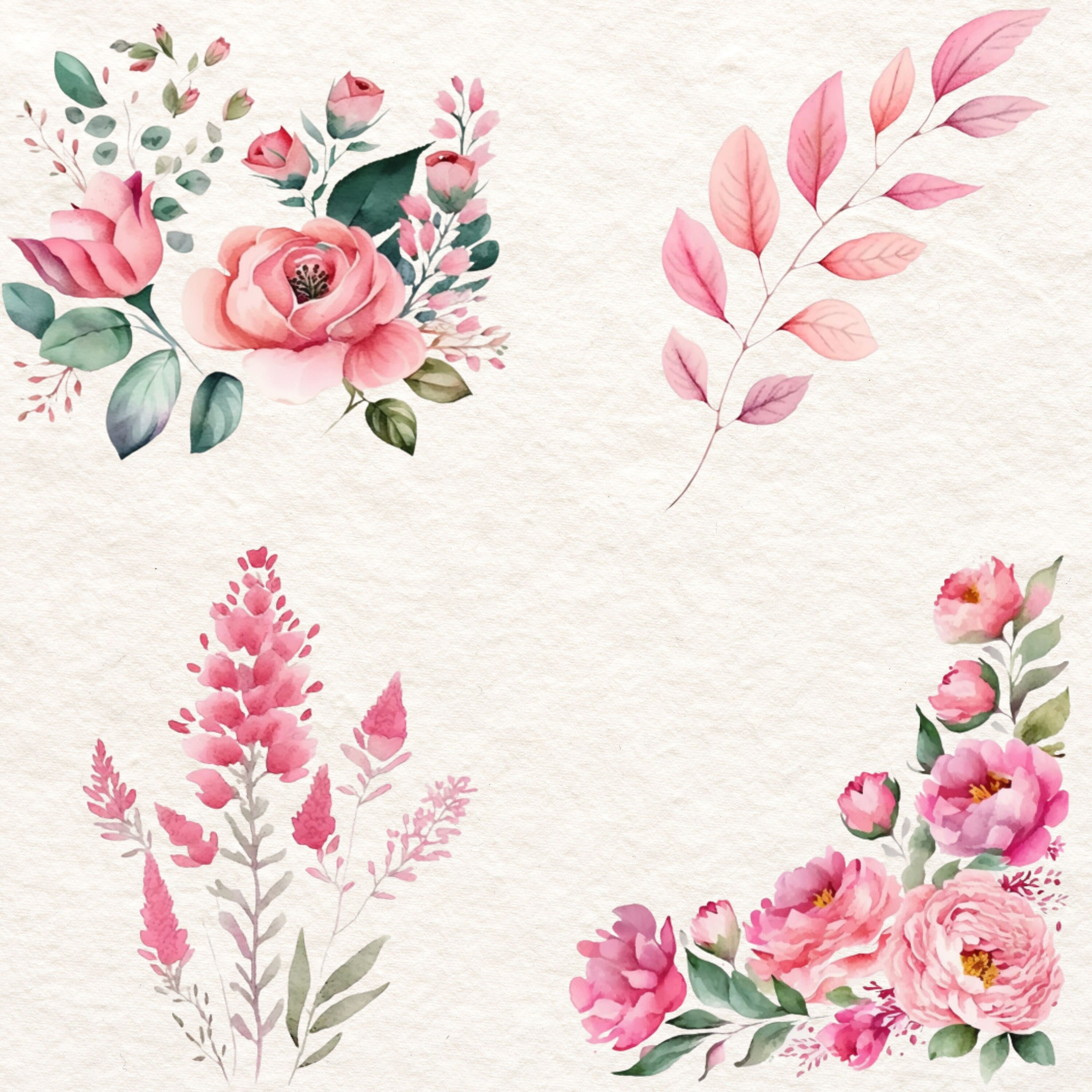 Watercolor Pink Flowers Clipart-pink Peonies Pink Blossoms - Etsy
