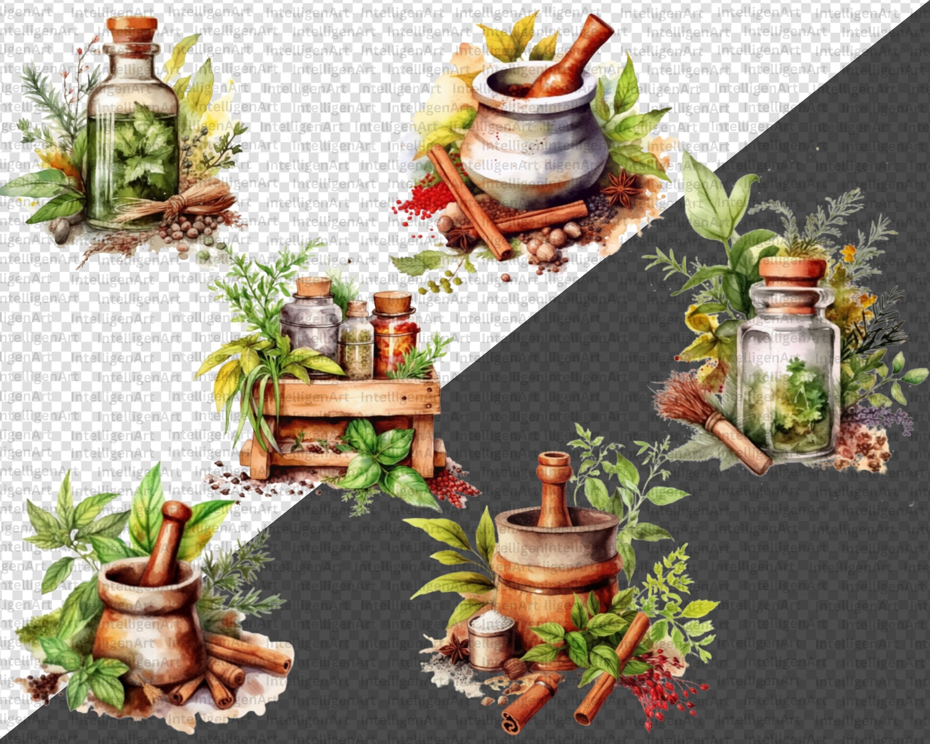 Herbs & Spices Clipart Watercolor Herbs Cooking Seasoning - Etsy