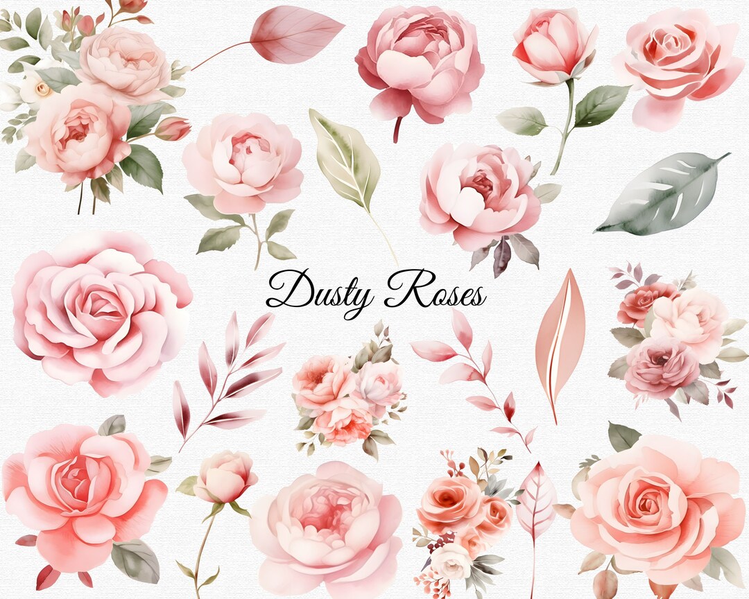 Dusty Rose Floral Clipart, Watercolor Roses, Dusty Rose & Blush ...