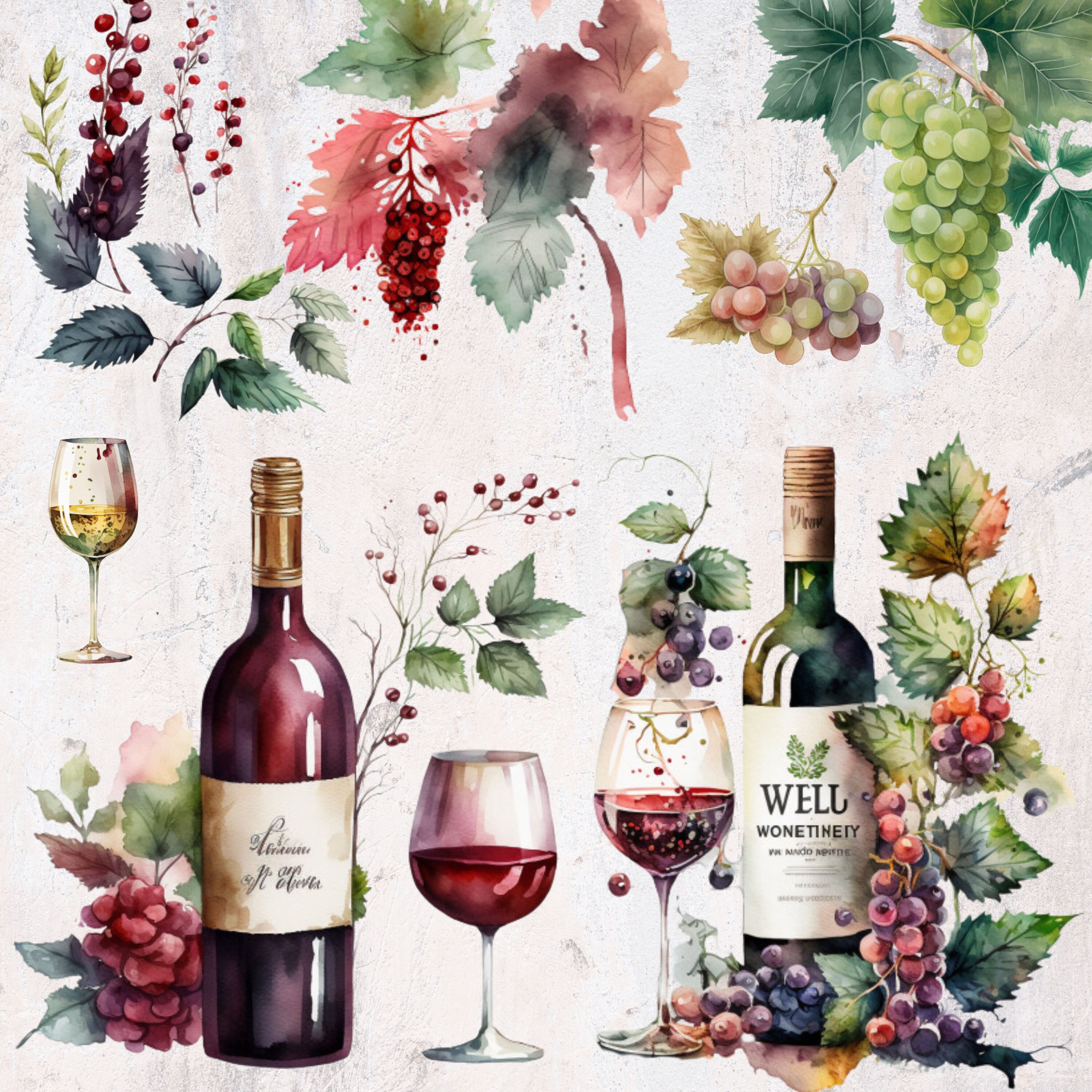 Watercolor Wine Clipart Set Red and Green Grapes Glasses - Etsy Australia