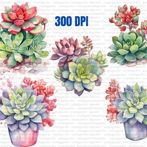 Watercolor Succulent Clipart PNG Succulent Graphics, Plants, Desert ...
