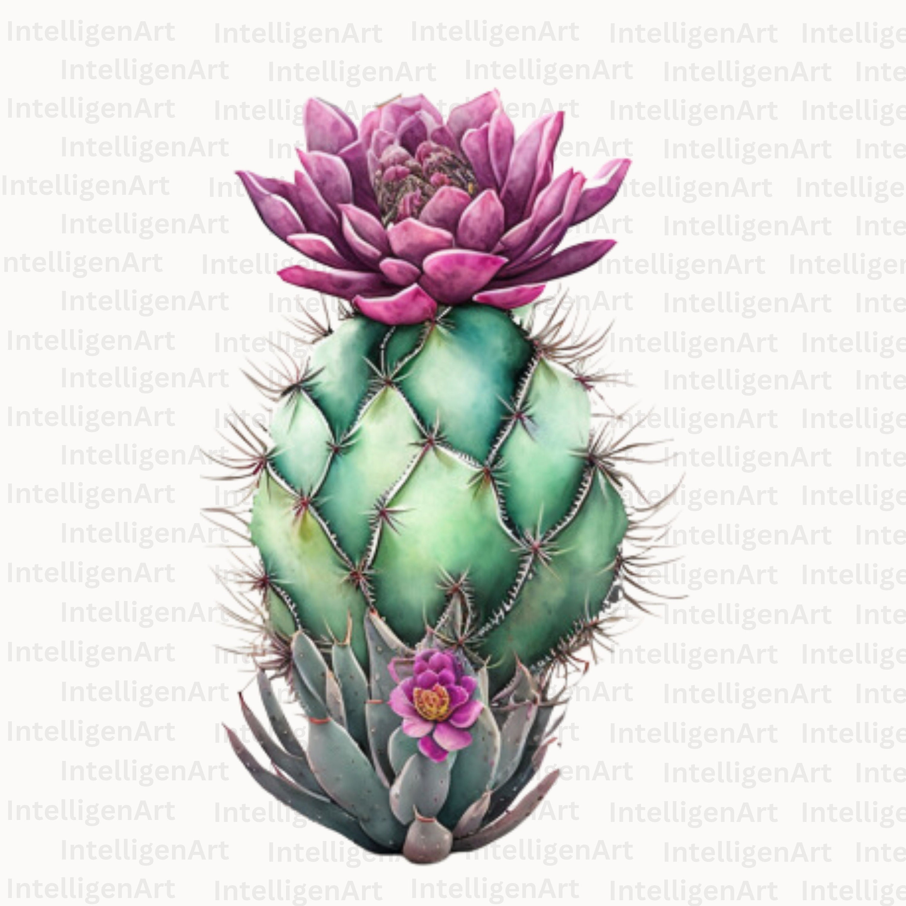 Watercolor Cactus Clipart PNG Illustration Bundle Printable - Etsy