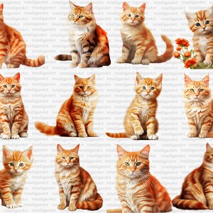 Orange Cats Clipart, Ginger Cat Clipart, Tabby Cats Png, Cute Kitten ...
