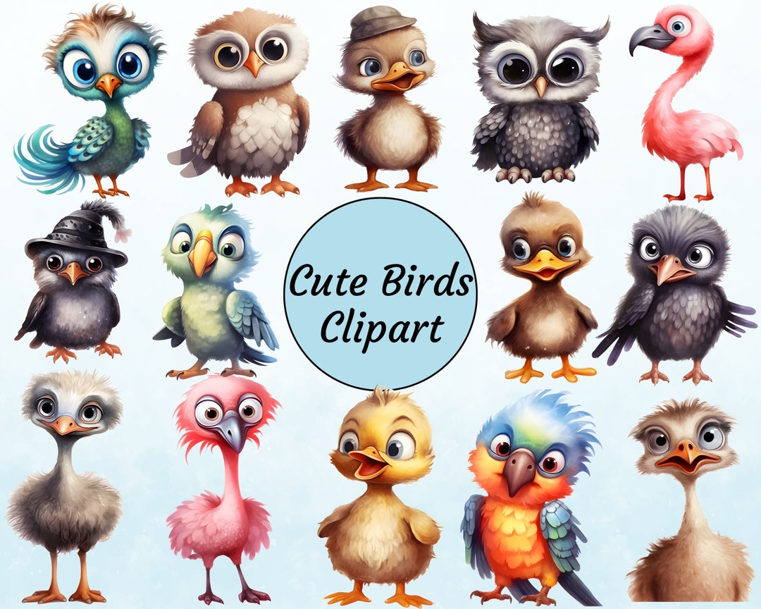 Cute Bird Clipart, Colorful Watercolor Birds, Bird Species Images, Bird ...