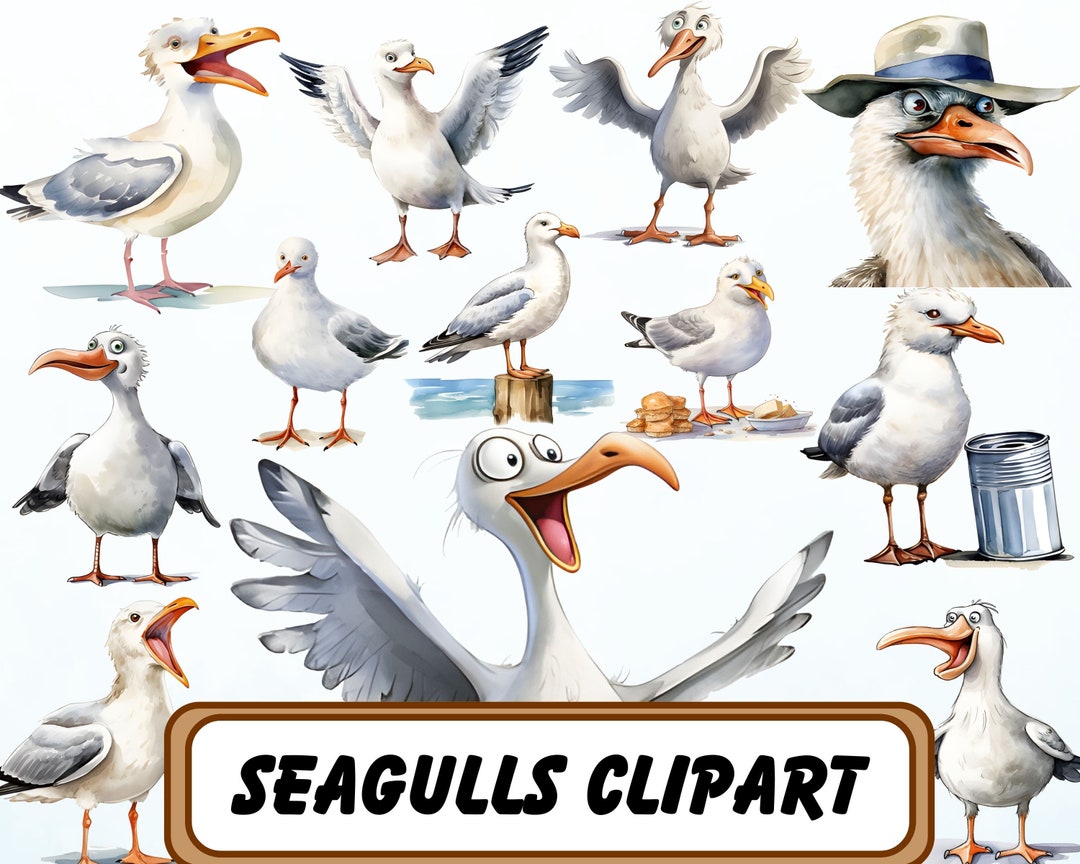 Funny Seagull Clipart, Quirky Birds Clip Art, Silly Animal ...
