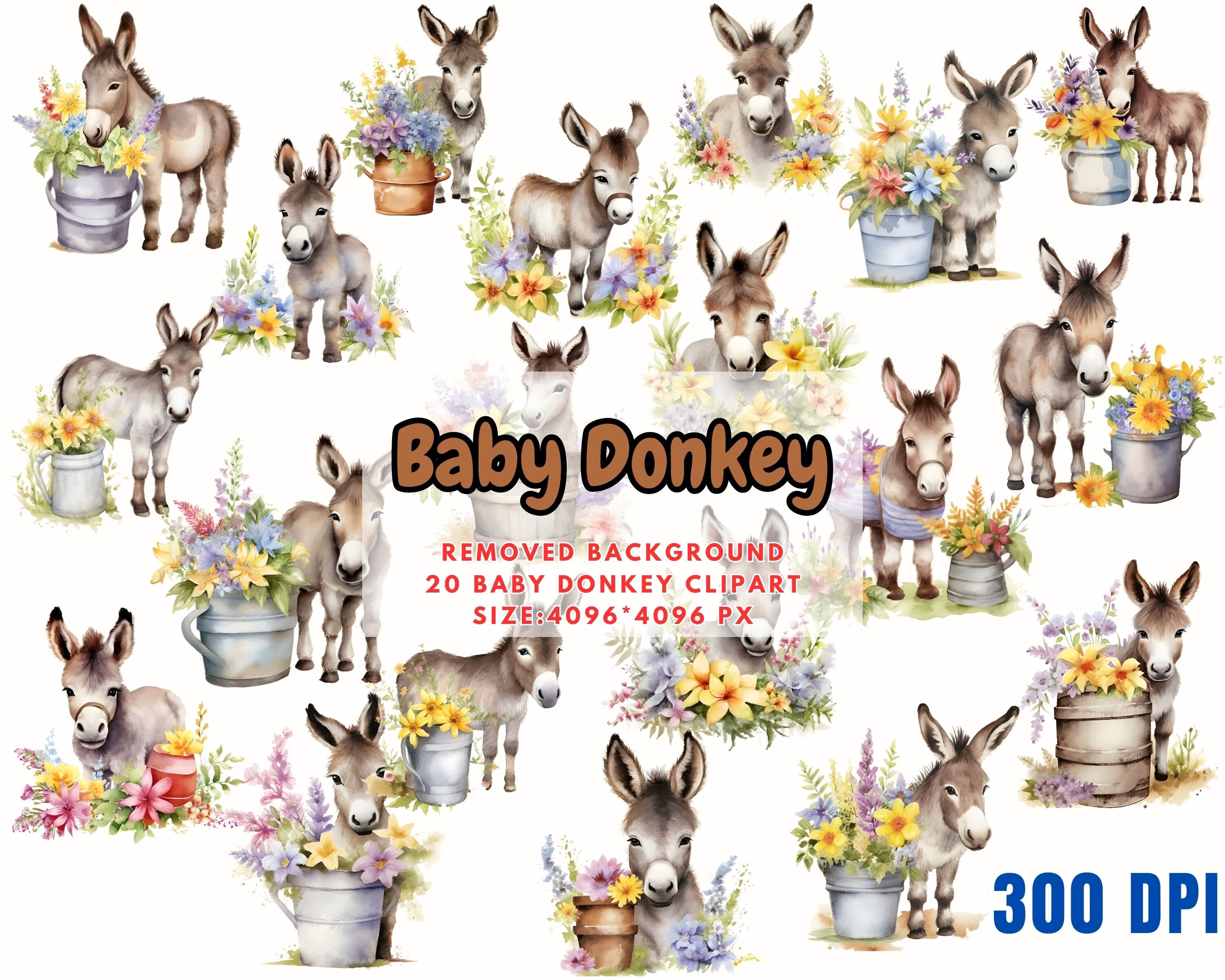 Baby Donkey Clipart Cute Farm Animals Baby Wildlife Baby - Etsy