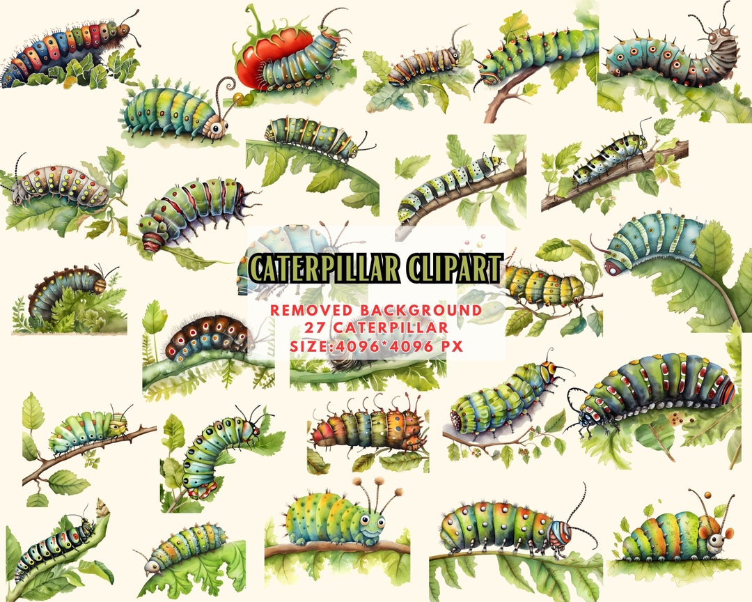 Caterpillar Clipart, Watercolor Spring Bug Insect, Cute Caterpillar ...