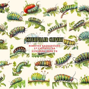 Caterpillar Clipart, Watercolor Spring Bug Insect, Cute Caterpillar ...