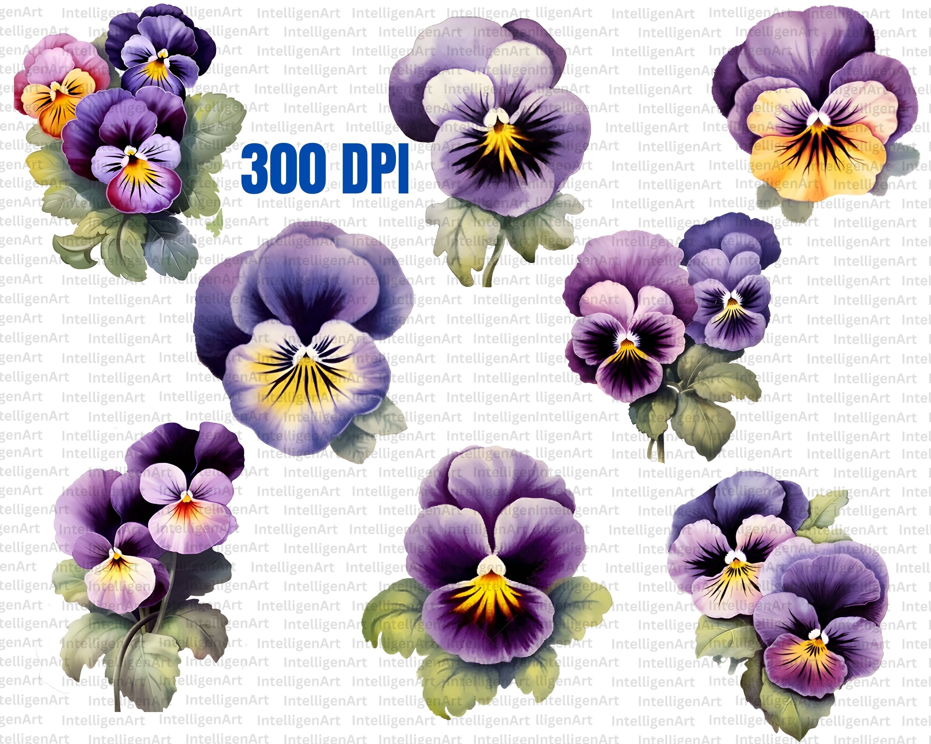 Pansy Flower Clipart Floral Watercolor Pansies Purple - Etsy