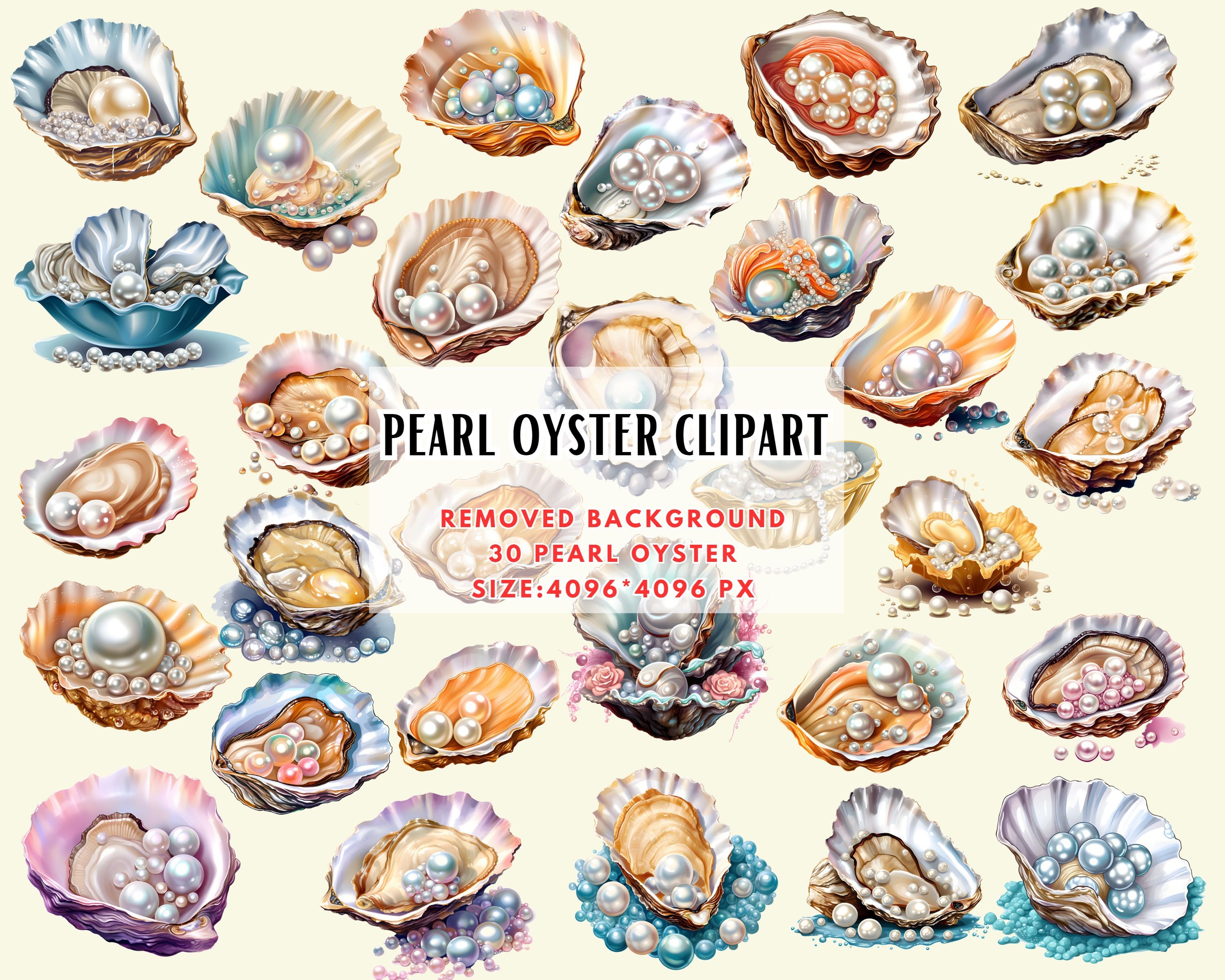 Oyster Pearl Clipart