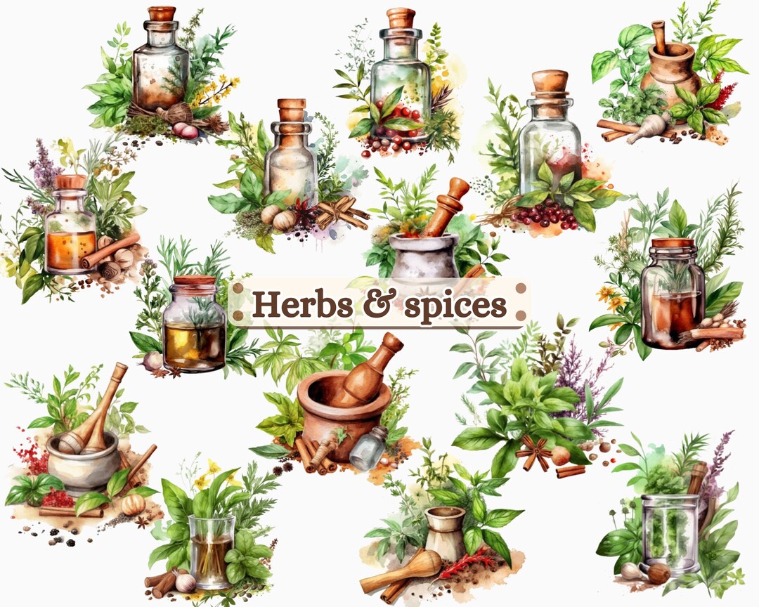Herbs & Spices Clipart - Watercolor Herbs, Cooking Seasoning, Kitchen ...