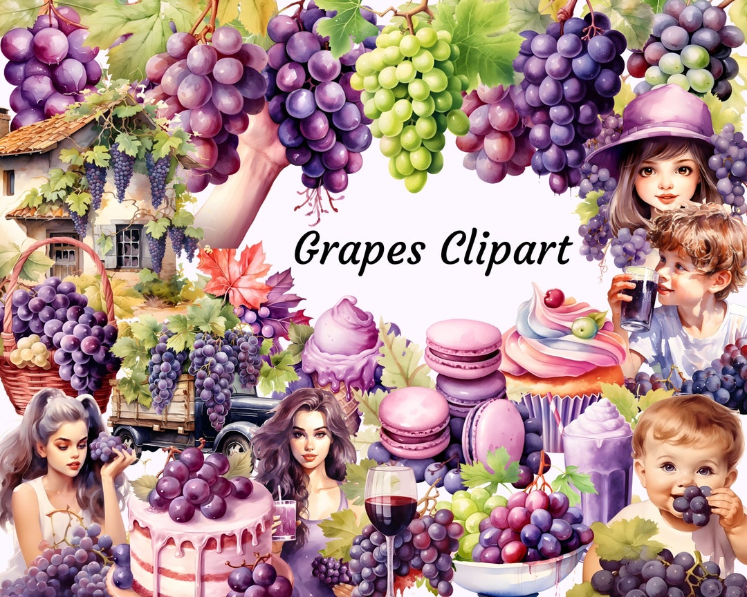 Grapes Clipart Grape Vine Clipart, Fruit Graphics, Vineyard Clipart, Grape Branches Clipart ...