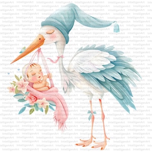 Stork Baby Girl Clipart, Charming Stork Baby, Newborn Art, Printable ...