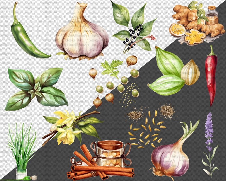 Watercolor Herbs Spices Clipart Png-kitchen - Etsy