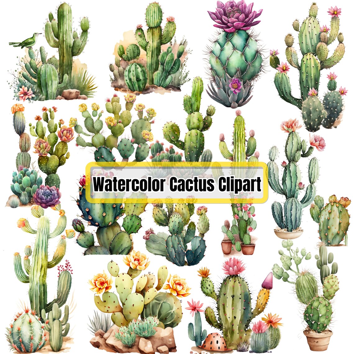 Watercolor Cactus Clipart PNG Illustration Bundle Printable - Etsy