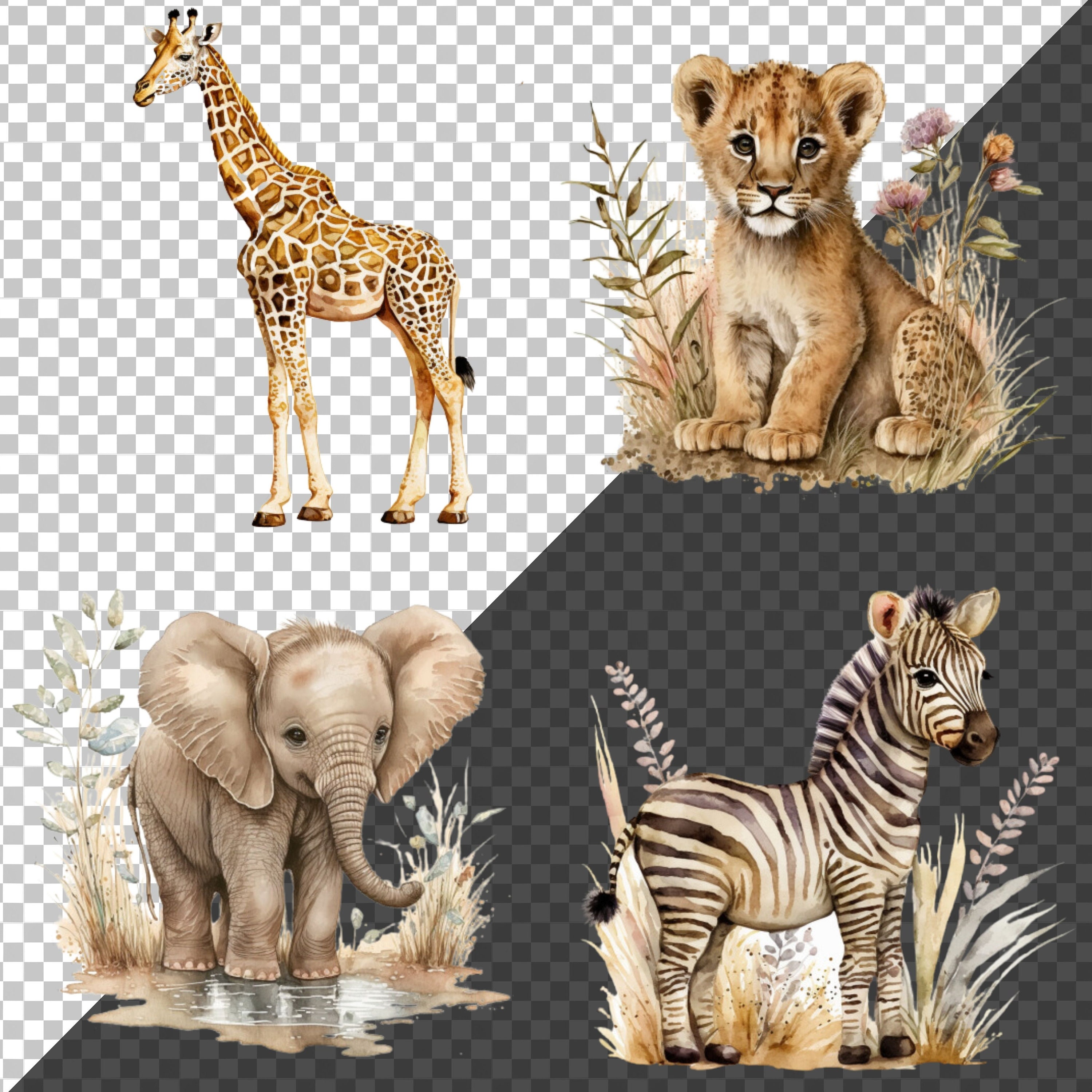 Watercolor Safari Animals Clipart Bundle: Elephants Lions - Etsy Australia