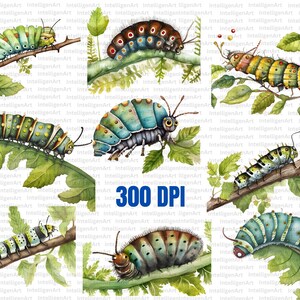 Caterpillar Clipart, Watercolor Spring Bug Insect, Cute Caterpillar ...