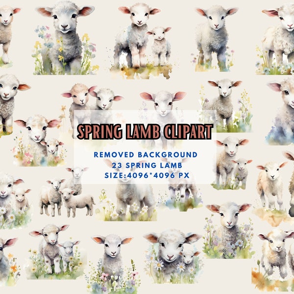Spring Lamb - Etsy