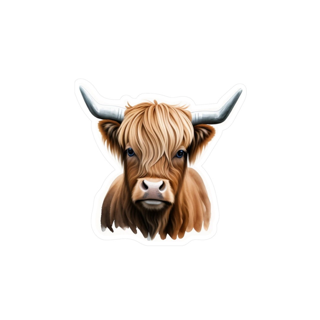 Hairy Coo Vinyl Decal, Cow Decal, Coo Sticker, Cow Stickers, Hairy Cow ...