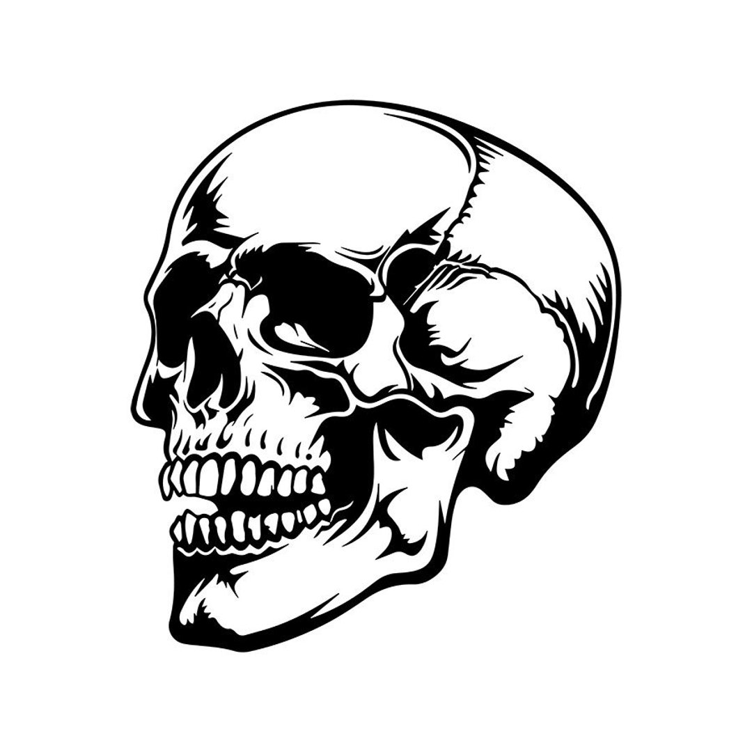 Skull SVG Skull Skeleton SVG Skeleton Skull Decal Svg Skull PNG Skull ...