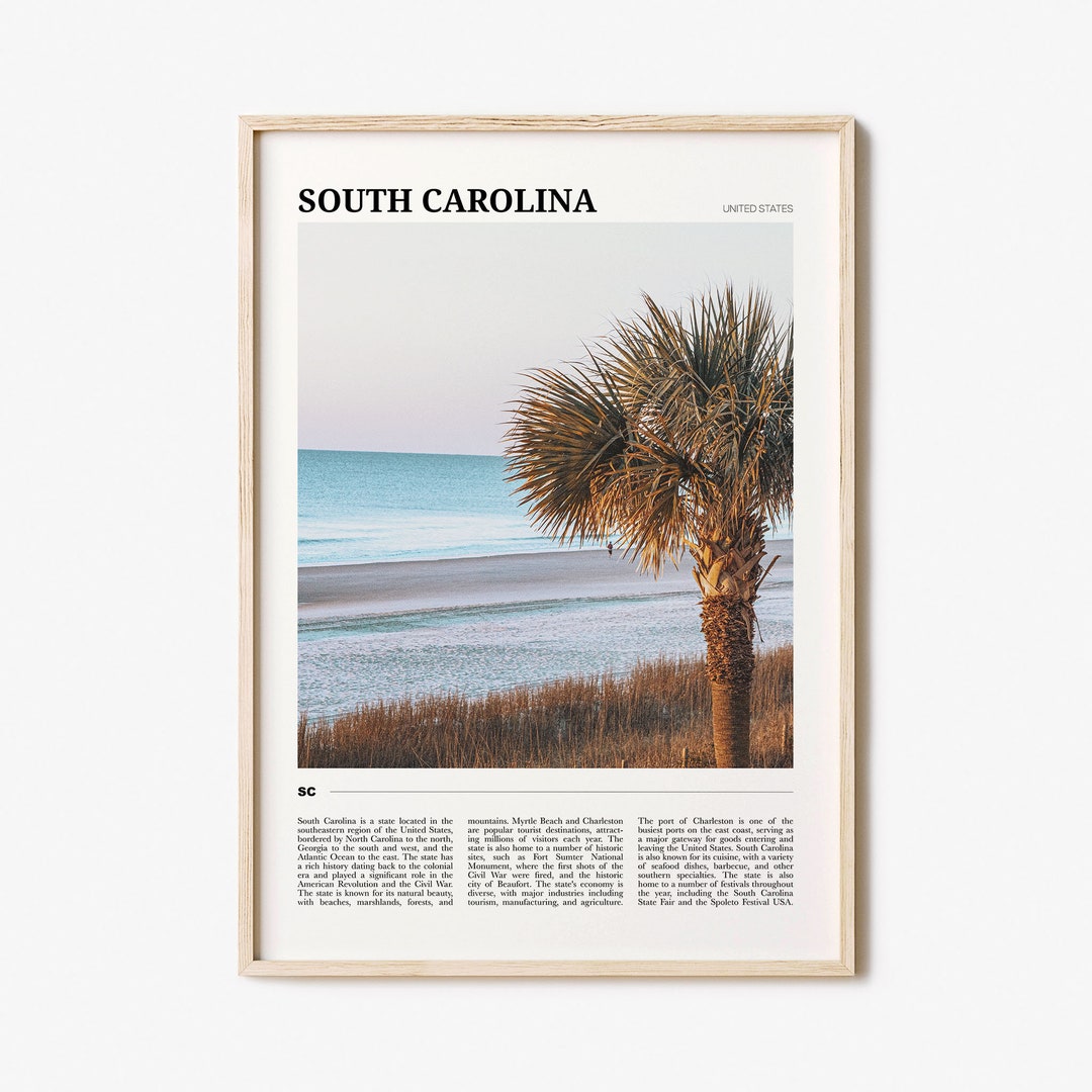 South Carolina Travel Poster No 2 South Carolina Wall Art - Etsy