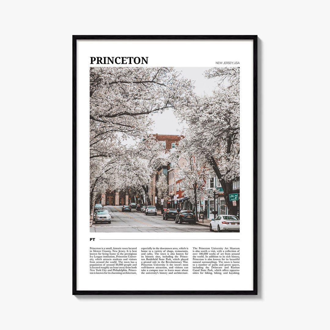 Princeton Travel Poster, Princeton Wall Art, Princeton Poster Print ...