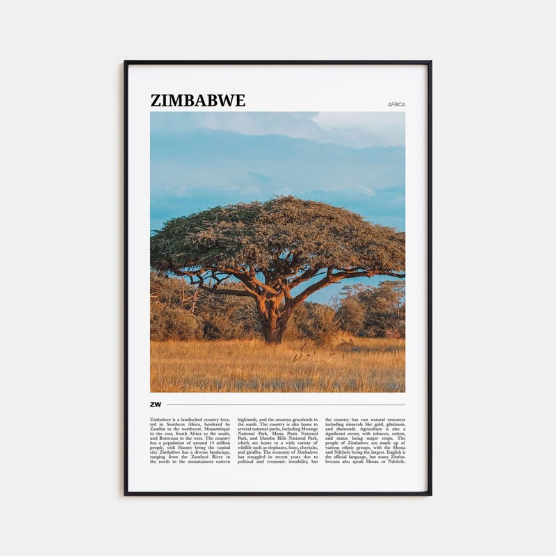 Zimbabwe Art - Etsy