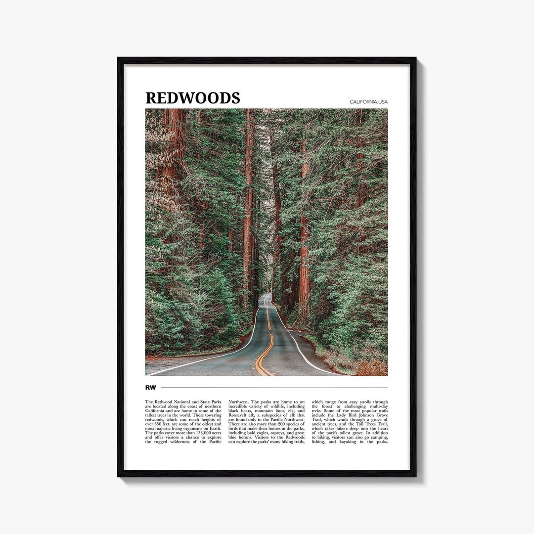 Redwoods Travel Poster: California USA Wall Art Print - Etsy