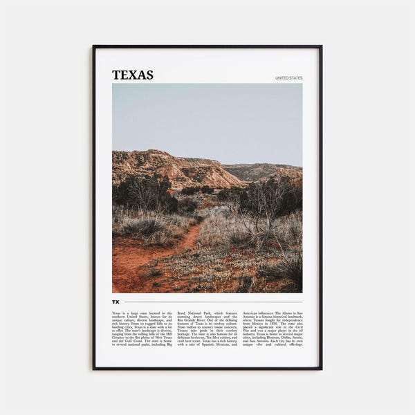 Texas Poster - Etsy