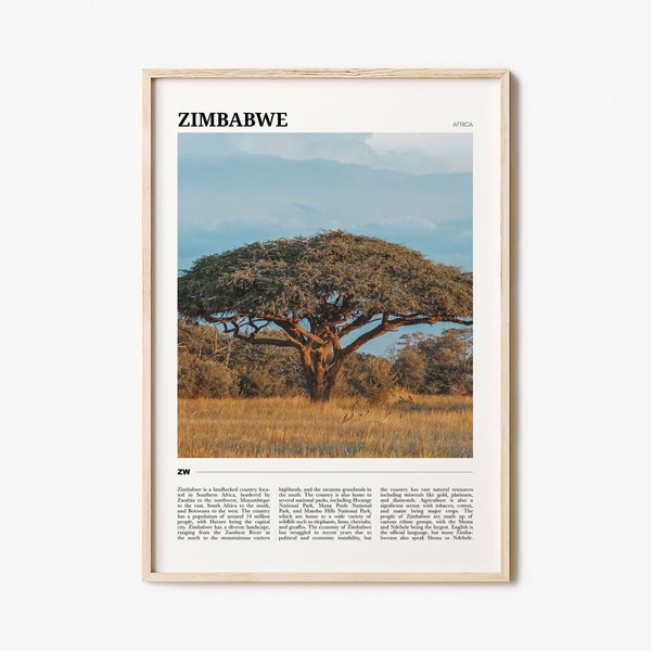 Zimbabwe Art - Etsy
