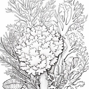 Coral Reef Coloring Book | 25-page Canva Template With Underwater Ocean ...