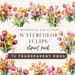 Watercolor Tulips Clipart Bundle | Instant Download | Commercial Use ...