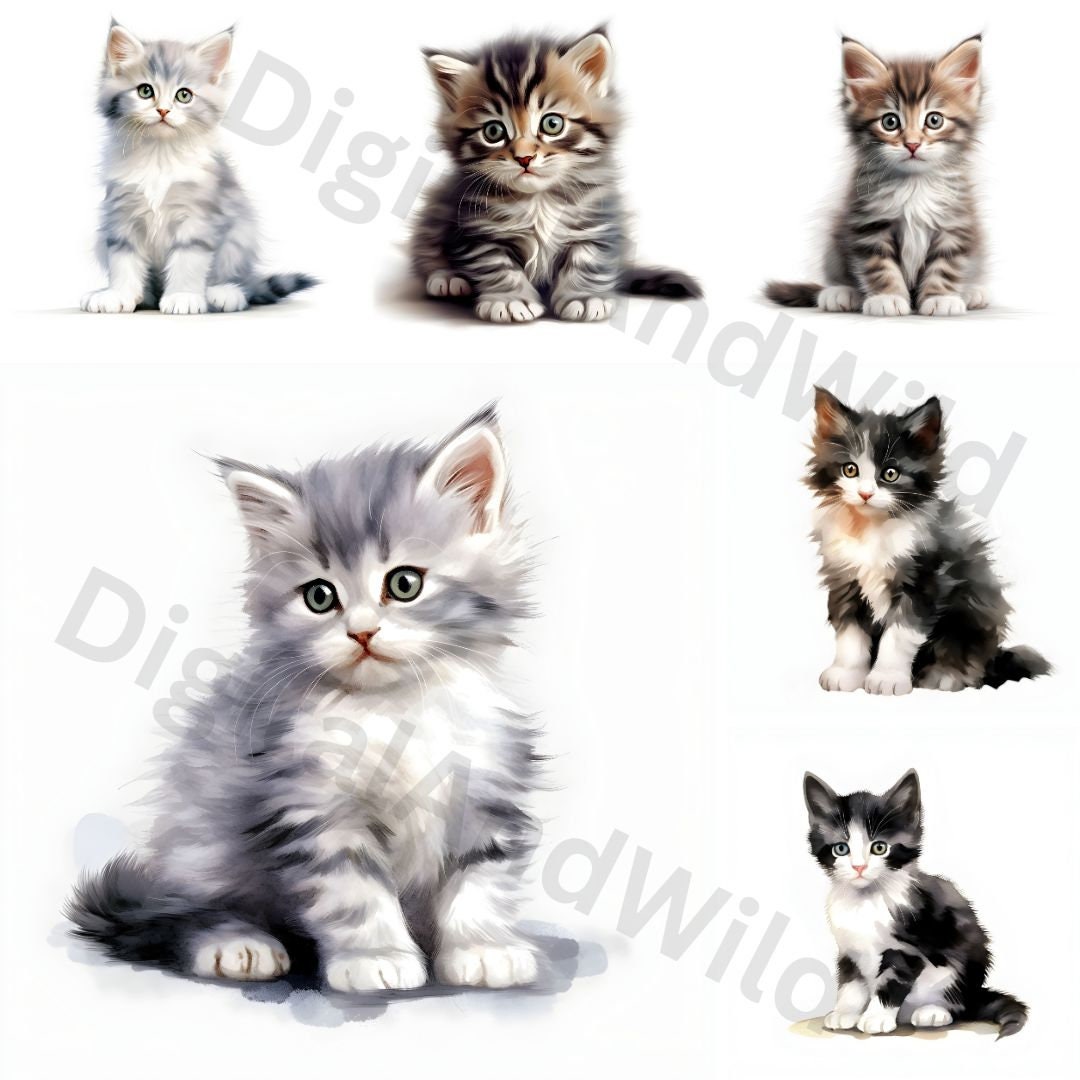 Cute Kittens Digital Clipart Bundle, Cat Digital Images, Instant ...
