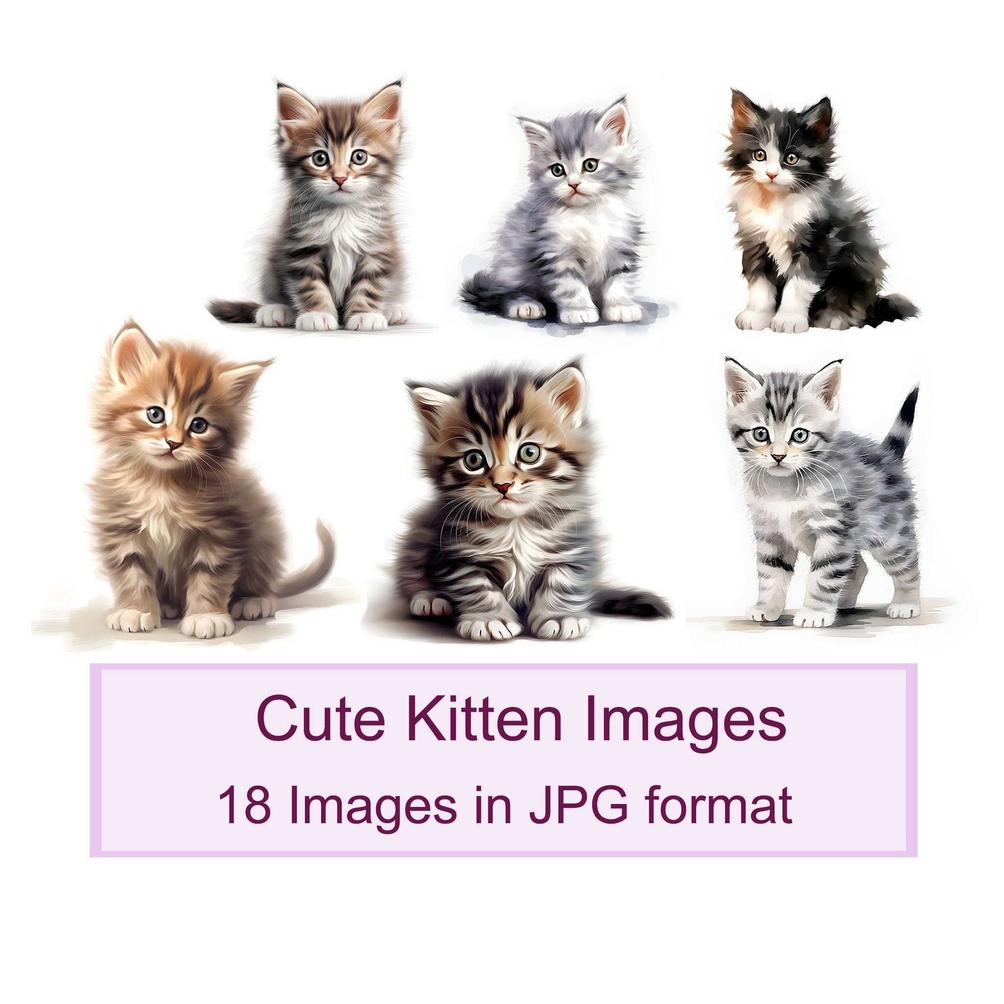 Cute Kittens Digital Clipart Bundle, Cat Digital Images, Instant ...