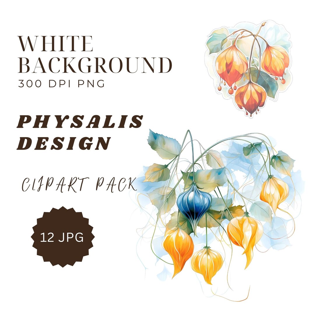 Physalis Clip Art Designs - Digital Floral Watercolour Images, Instant Digital Download ...