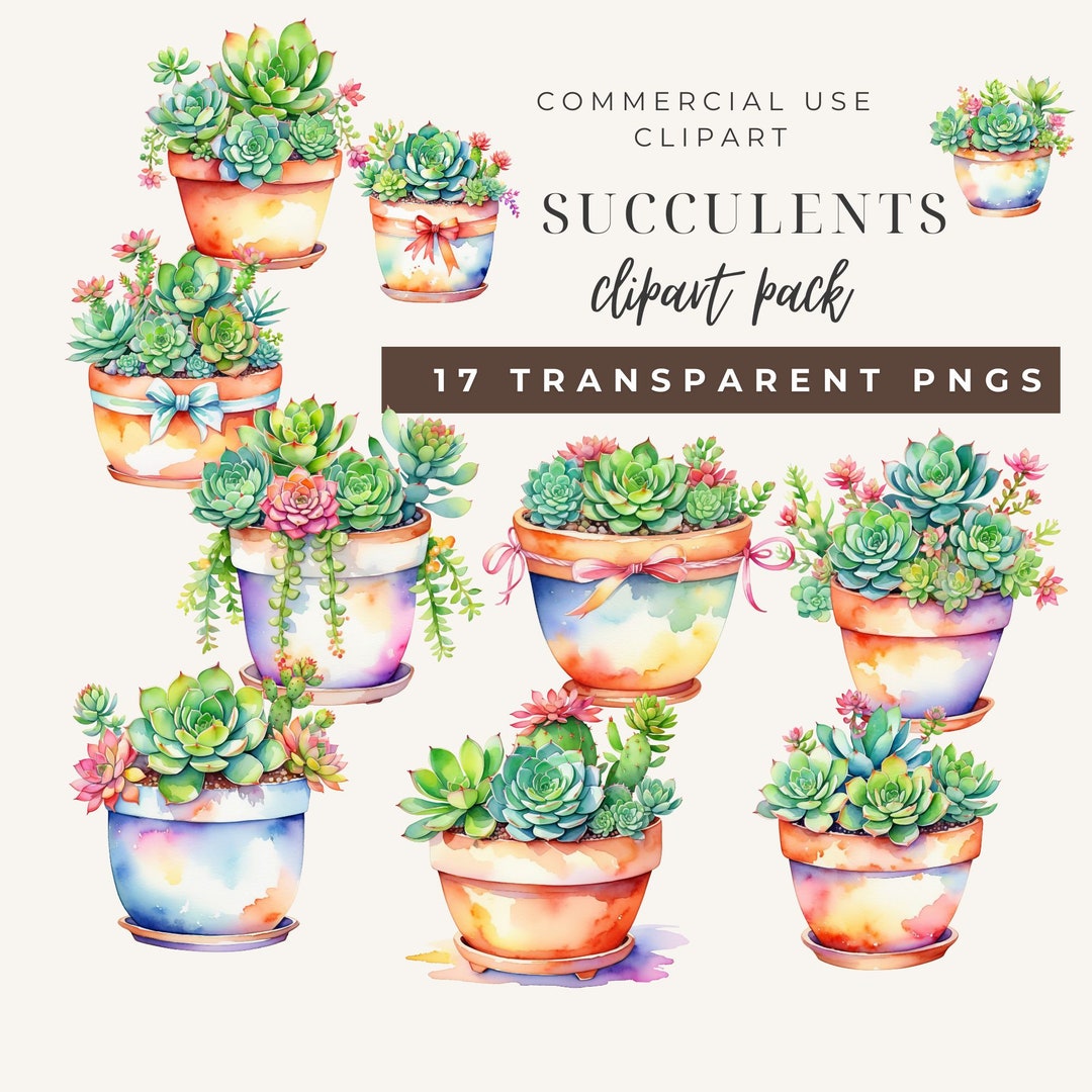 Succulents Clipart Bundle | Commercial Use | Instant Digital Download ...